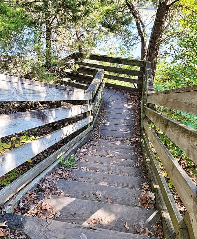 These weathered wooden steps lead to Buffalo Rock's most spectacular vantage points – worth every bit of the short climb.