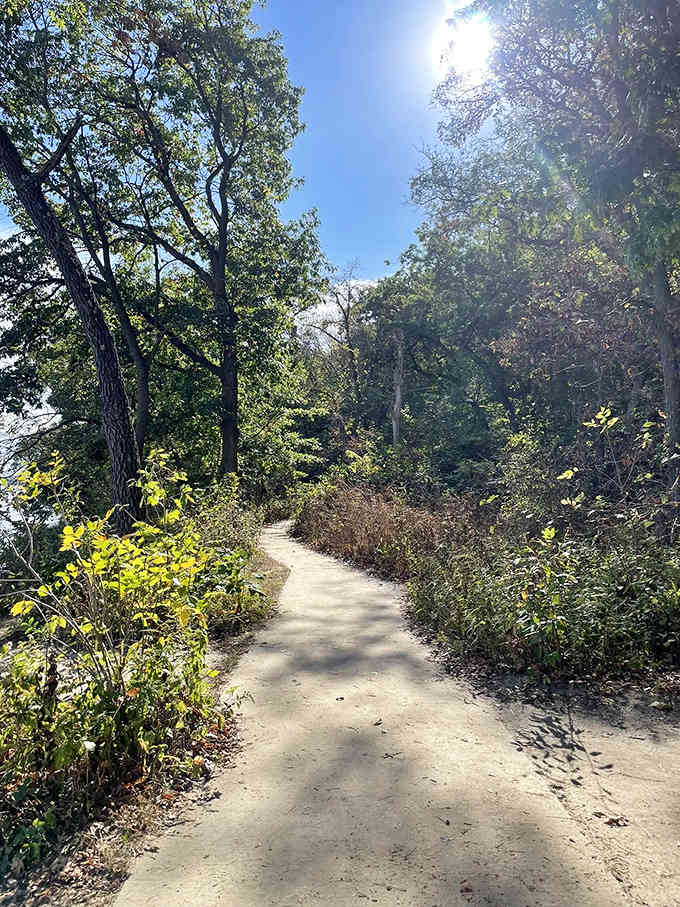 Sunlight illuminates this winding trail like nature's own welcome mat, inviting visitors to discover what lies beyond the next bend.