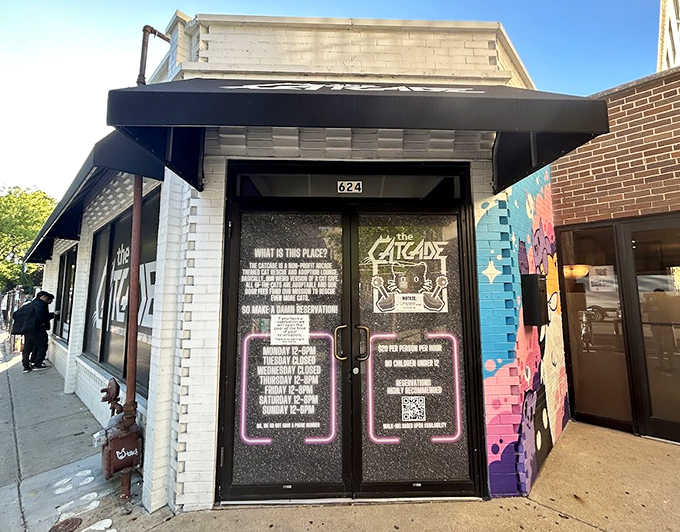 The colorful entrance sets expectations perfectly &ndash; part arcade, part rescue center, and completely unique among Chicago's diverse attractions.