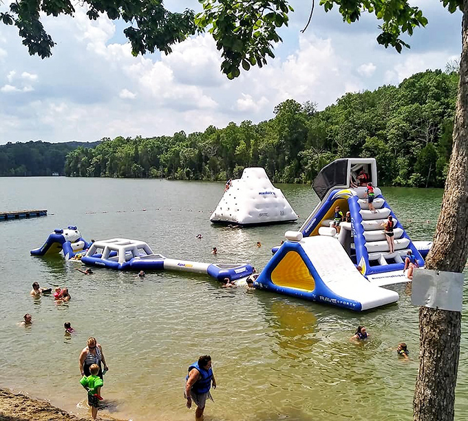 The water playground transforms ordinary swimmers into temporary American Ninja Warriors, complete with spectacular, laugh-inducing wipeouts.