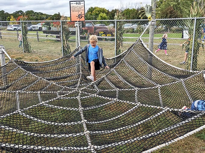 The spider web climbing structure lets kids test their coordination while parents nervously watch, cameras ready for action shots.