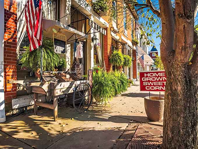 Street corners in Waynesville overflow with character, vintage charm, and enough antique shops to fill an entire weekend with discovery.