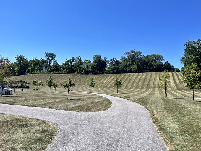 The park's rolling landscape creates natural amphitheaters where the only performance is the gentle dance of sunlight through swaying trees.