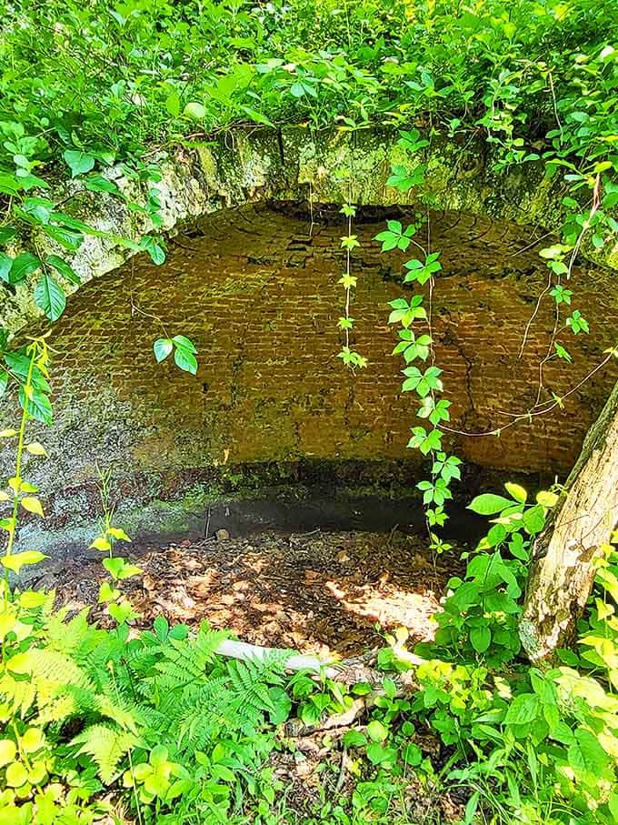 Vines drape dramatically over the arched entrance, nature's slow-motion victory in the centuries-long battle to reclaim this industrial landscape.