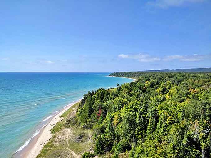 Nature's perfect panorama unfolds where forest meets shoreline, a view that makes you wonder why you ever thought office walls were acceptable surroundings.