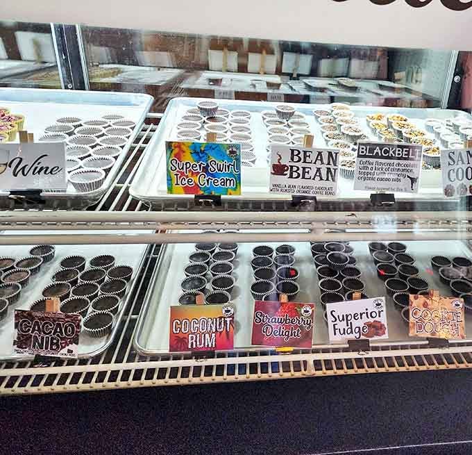 Display case: A chocolate library of flavors awaits, from classic combinations to wild innovations &ndash; each little cup a chapter in an edible adventure story.