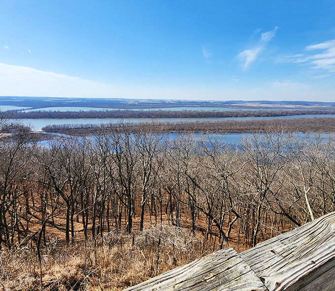 Eagles soar where rivers meet &ndash; this overlook offers prime viewing of America's national bird against a backdrop of watery wilderness.