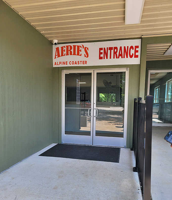 Outdoor seating invites guests to enjoy their artistic meal al fresco, with comfortable lounge furniture creating a relaxed gallery extension.