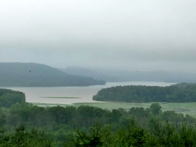 Where green meets blue in perfect harmony &ndash; Seneca Lake's shoreline offering a masterclass in natural landscaping.