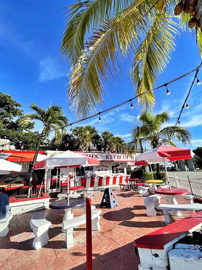 The outdoor patio, with its white tables under string lights and palm trees, offers the perfect setting for Miami's favorite frozen pastime.