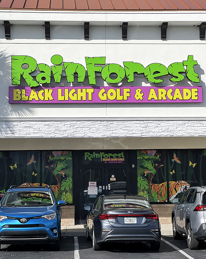 From the outside, it looks unassuming &ndash; but behind these doors lies a fluorescent wonderland that transforms ordinary afternoons into extraordinary adventures.