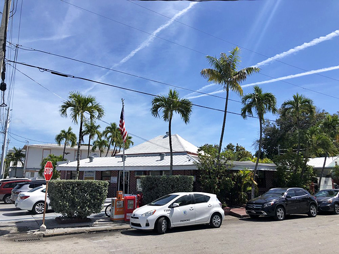 Palm trees stand sentinel outside El Siboney, nature's way of marking the spot where Cuban sandwich dreams come true in the Florida sunshine.