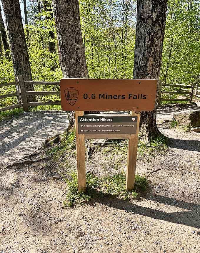 Just 0.6 miles to waterfall glory, which is close enough that you can't use distance as an excuse to skip this Upper Peninsula gem.