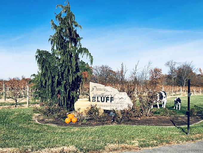The Walker's Bluff sign stands as a landmark in Southern Illinois wine country &ndash; a promise of exceptional experiences just beyond the vineyard rows.