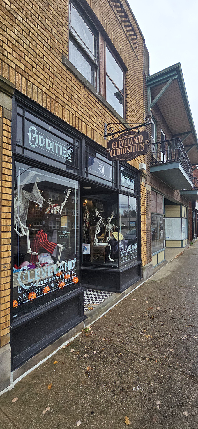 Storefront: The shop's exterior window display sets the perfect tone with skeletons and vintage signage. Halloween vibes all year round!