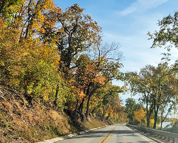 Autumn transforms the riverside road into a golden gallery, where nature's paintbrush creates a masterpiece of fall colors.