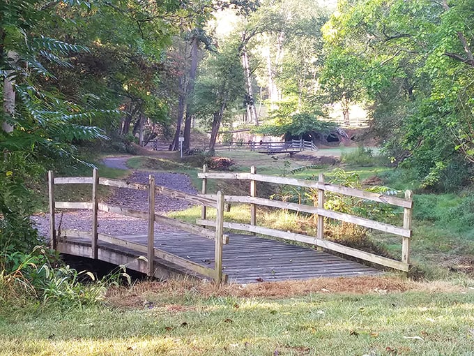 Bridging eras: This simple wooden walkway connects visitors to a landscape where America's industrial past meets environmental restoration.