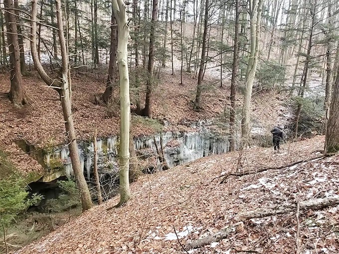 Winter transforms familiar paths into mysterious wonderlands &ndash; where every step crunches like nature's own ASMR soundtrack.