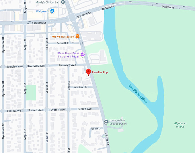 16. cheddar burger at paradise pup (des plaines, il) map