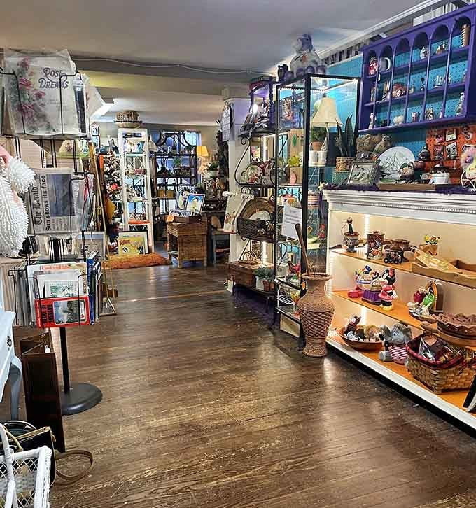 Inside this treasure trove, shelves overflow with memories and finds that make your heart skip a beat.