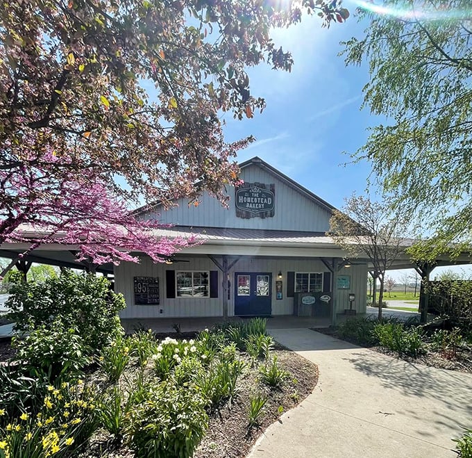 Spring blossoms frame The Homestead Bakery's inviting entrance. The peaceful setting promises sweet treasures inside this Arthur favorite.