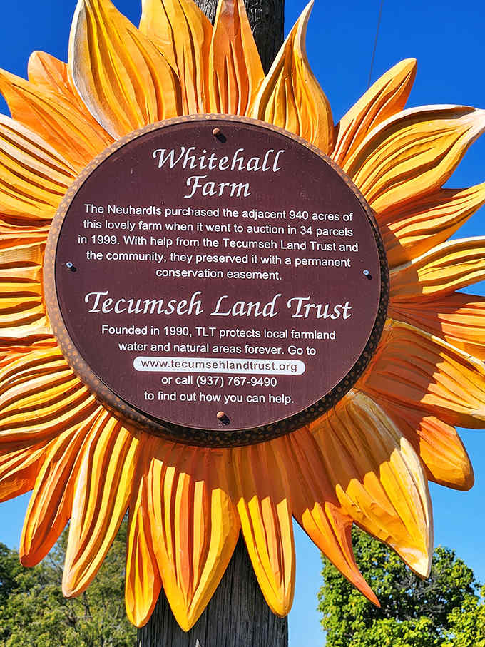 A decorative sunflower sign at Whitehall Farm tells the story of land conservation, proving beauty and purpose can grow together.