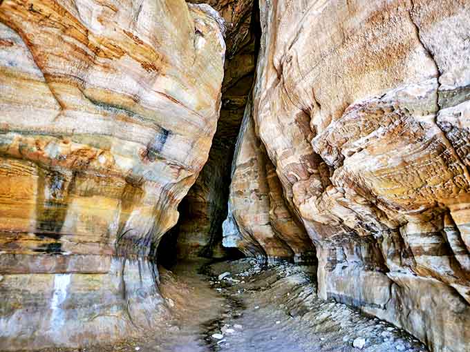 Squeeze through nature's hallways where water has carved this narrow passage over millennia, creating a geological funhouse of textures and colors.