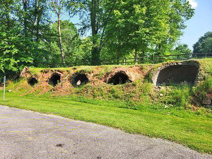 Industrial ghosts: These weathered stone arches whisper stories of Ohio's industrial past while nature slowly reclaims its territory.