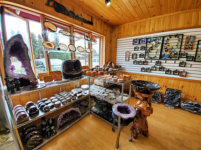 Warm wood paneling and thoughtfully arranged displays create an inviting atmosphere where every surface holds discoveries waiting to happen.