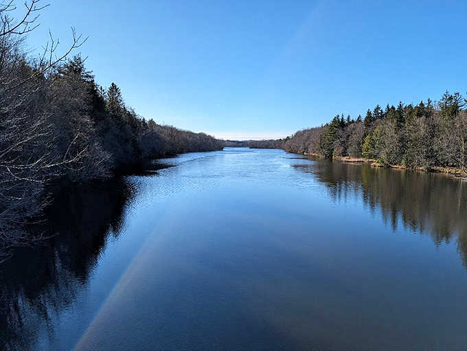 The Chippewa River flows like liquid glass, reflecting the sky and surrounding forest in a display that changes hourly with the light.