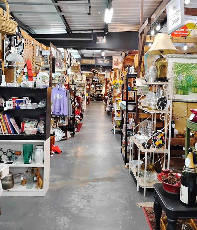 Wandering these narrow aisles feels like exploring a carefully curated museum where touching&mdash;and taking home&mdash;the exhibits is not just allowed but encouraged.