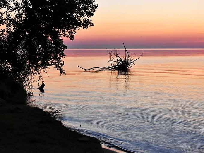 Sunset transforms Delaware Park into nature's canvas, painting the sky with colors no artist could fully capture.