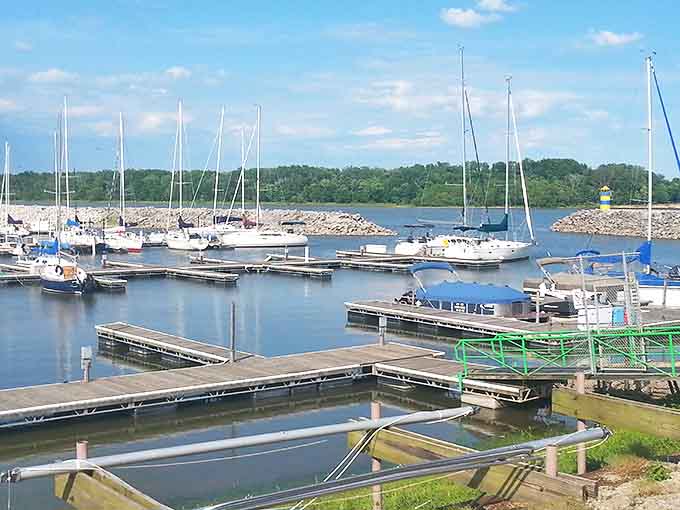 The marina at Carlyle Lake welcomes sailors and boaters alike, a forest of masts waiting for adventure to unfold.