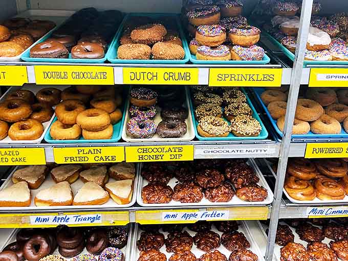 Donut Display: A rainbow of fried perfection awaits, from chocolate-dipped dreams to sprinkle-covered celebrations. Diet plans, beware!