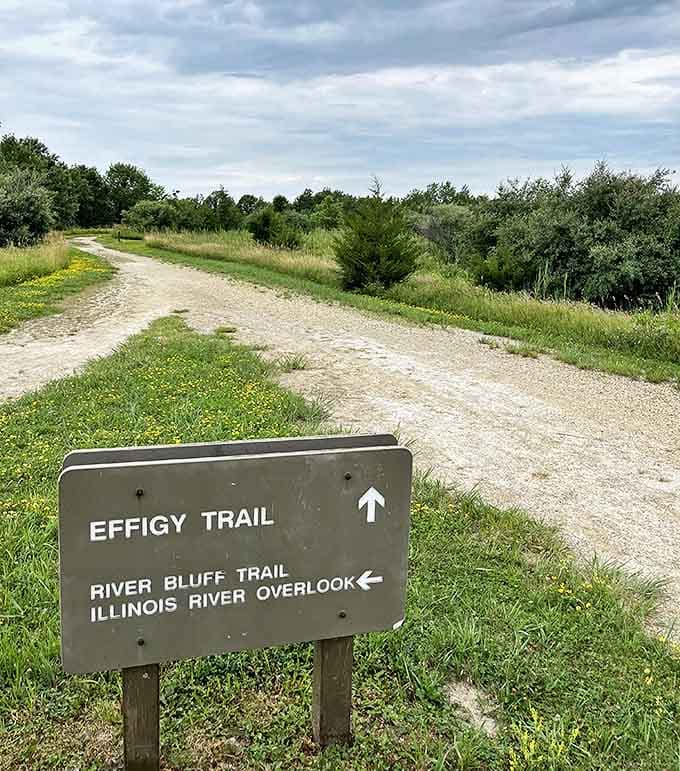 The Effigy Trail winds through Michael Heizer's earth sculptures, transforming former mine sites into a living art installation celebrating native wildlife.