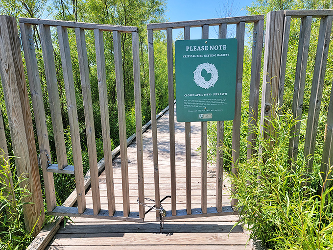 Nature's "Do Not Disturb" sign reminds us that even paradise needs boundaries during critical bird nesting season.