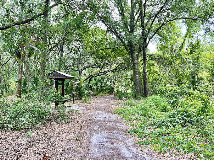 Nature's welcome mat unfurls at this trailhead, where civilization gently steps aside to let the wild things rule.