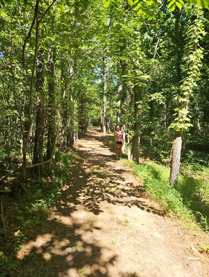 Dappled sunlight guides the way along this serene forest path, where every step brings you closer to subterranean wonders ahead.