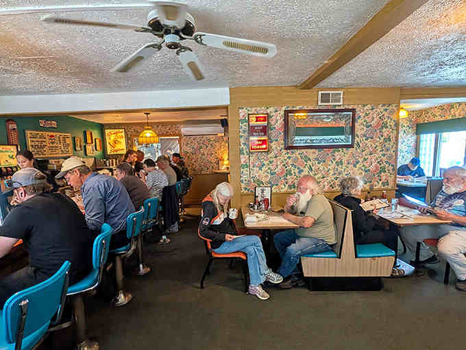 Inside Fred's Diner, floral wallpaper and blue chairs create a time capsule where conversations flow as freely as the coffee.