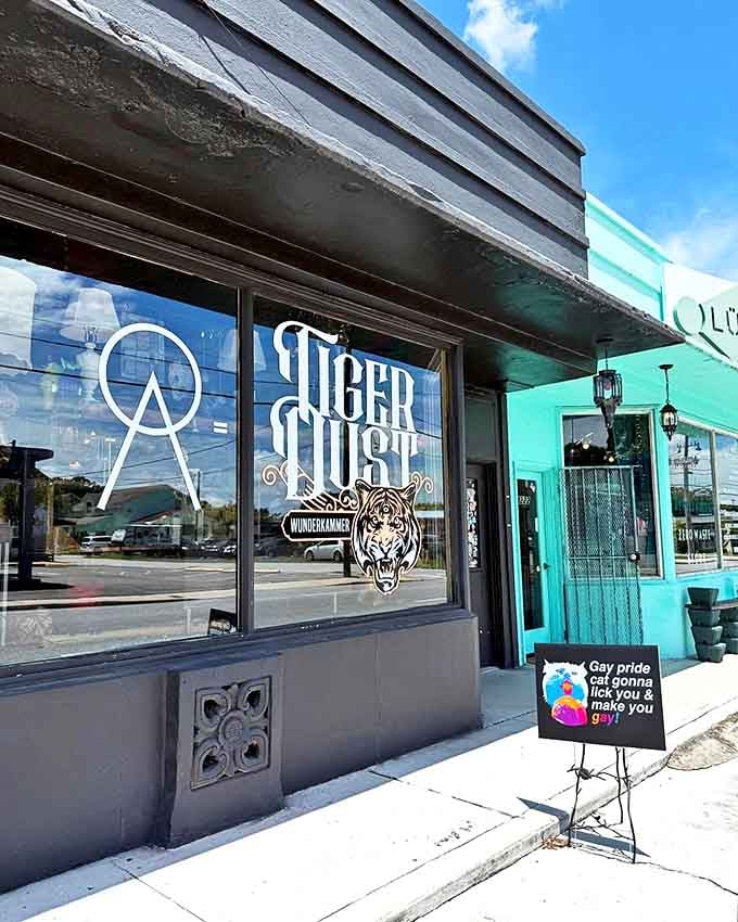 That sleek black exterior hides a universe of oddities, like a mysterious gift box you're almost afraid to open but absolutely must.