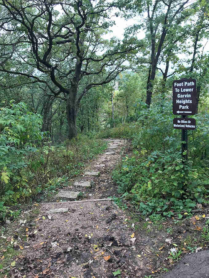 Nature's stairway to heaven? This foot trail promises adventure through the Driftless Area's surprisingly rugged terrain.