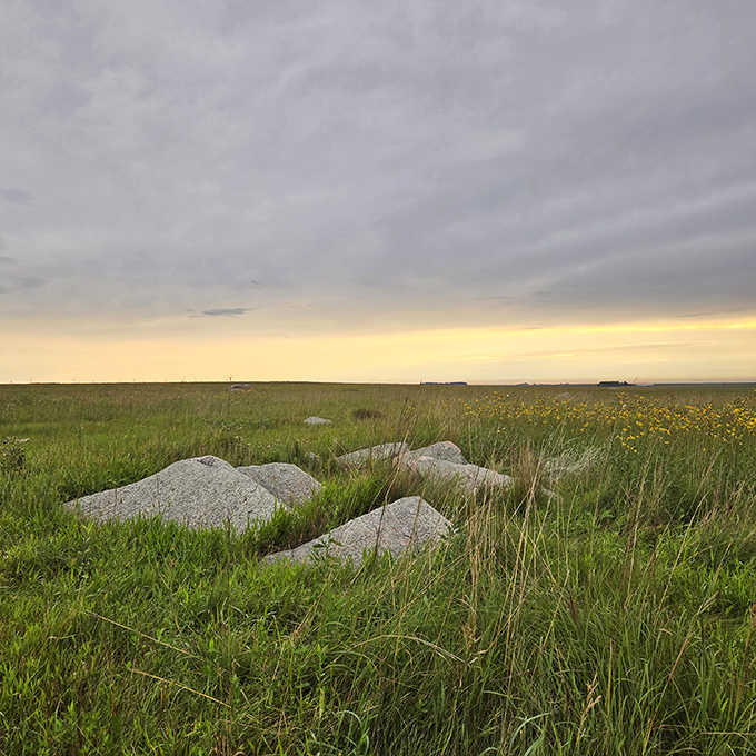 Where earth meets sky: The tallgrass prairie stretches toward the horizon, its gentle path inviting wanderers to discover what lies beyond.