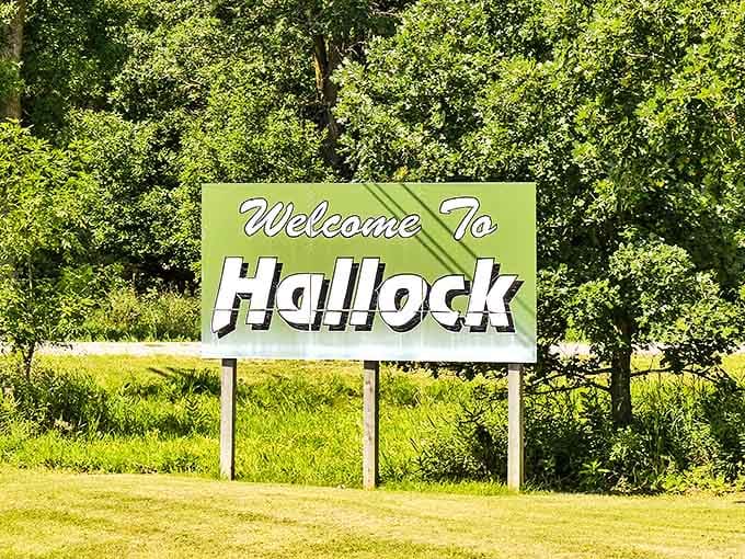 The welcoming sign to Hallock stands as a cheerful sentinel, greeting travelers to this northern outpost of Minnesota charm.