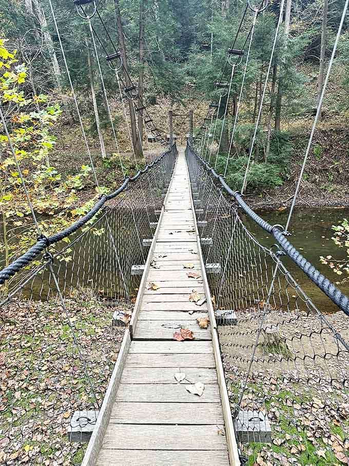 Adventure beckons with every step on this swaying suspension bridge &ndash; Indiana Jones meets Ohio wilderness!