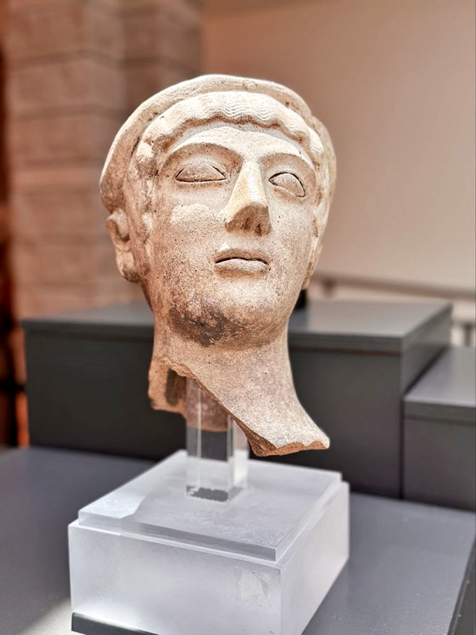 This ancient head has seen more history than your high school textbook ever covered, and it's not telling any secrets.
