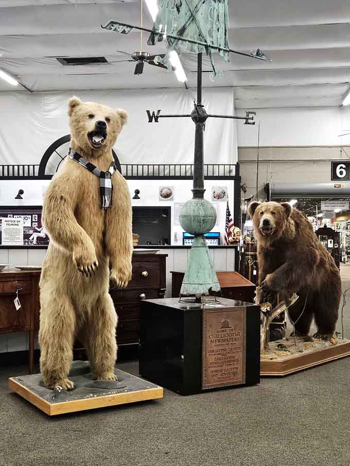 Those taxidermied bears aren't just decor, they're the welcoming committee with the most intimidating smiles you'll ever see.