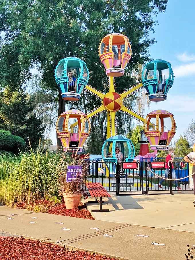 The Ferris wheel's brightly colored gondolas spin against blue skies, offering riders panoramic views of Canal Fulton's charming landscape below.