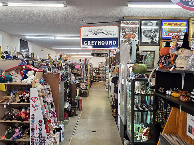 Step inside and lose yourself in aisles of memories &ndash; this packed interior view shows just a fraction of the mall's vast collection.