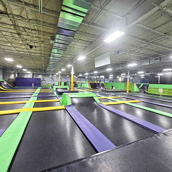 A sea of trampolines stretches before you, promising boundless joy and the inevitable discovery of muscles you forgot existed.