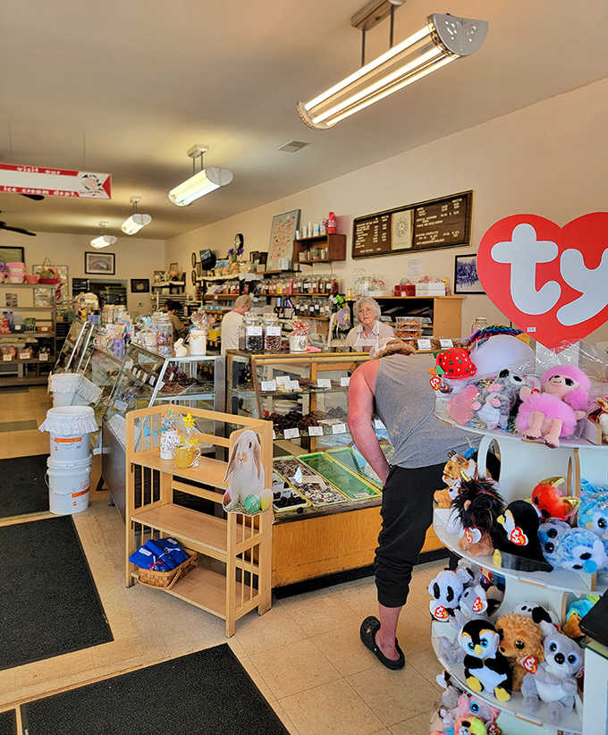 Step inside and time stands deliciously still &ndash; vintage display cases, stuffed animals, and candy jars create an atmosphere where nostalgia is the secret ingredient.